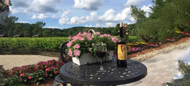 Best Wineries in Massachusetts